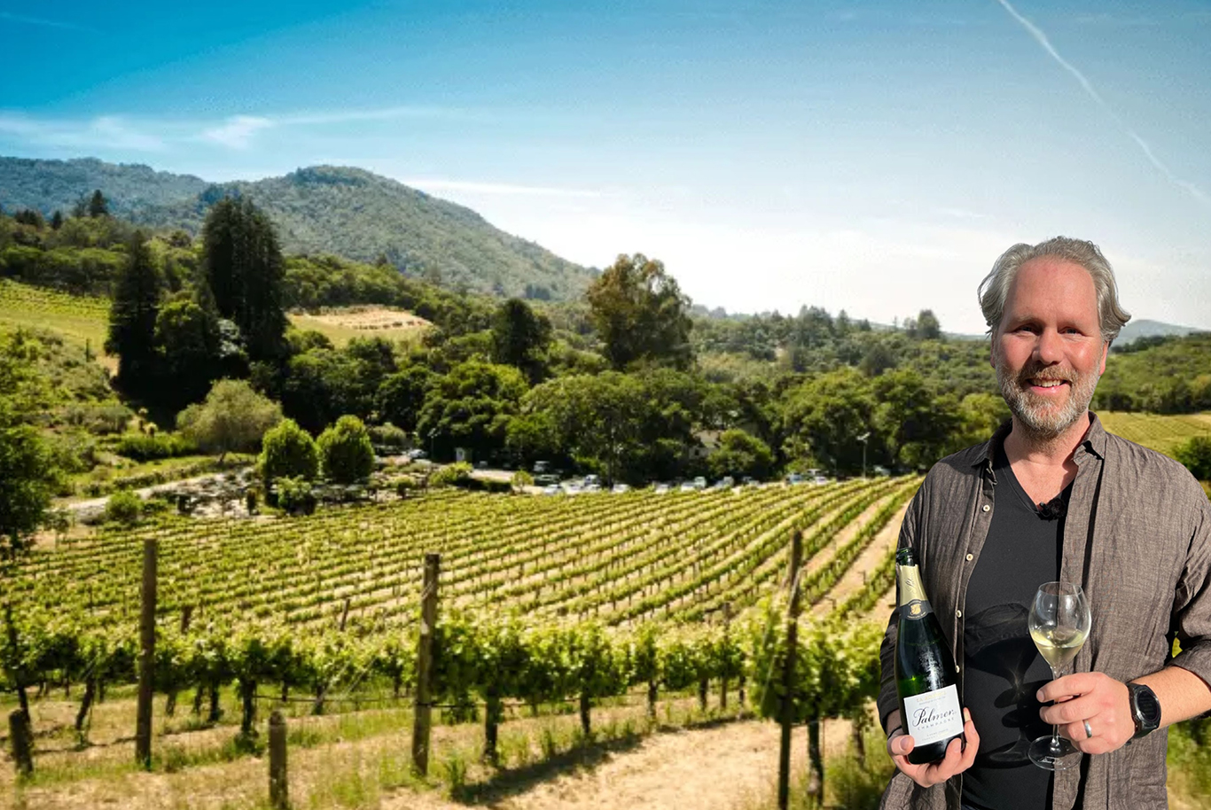 Champagneexperten Fredrik Schelin summerar år 2024 och blickar framåt ...